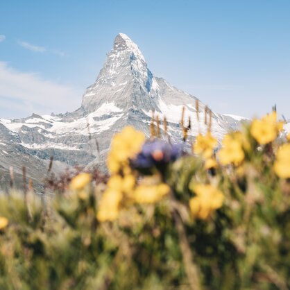 Cervino - Punti di vista e prima ascensione | Cervino